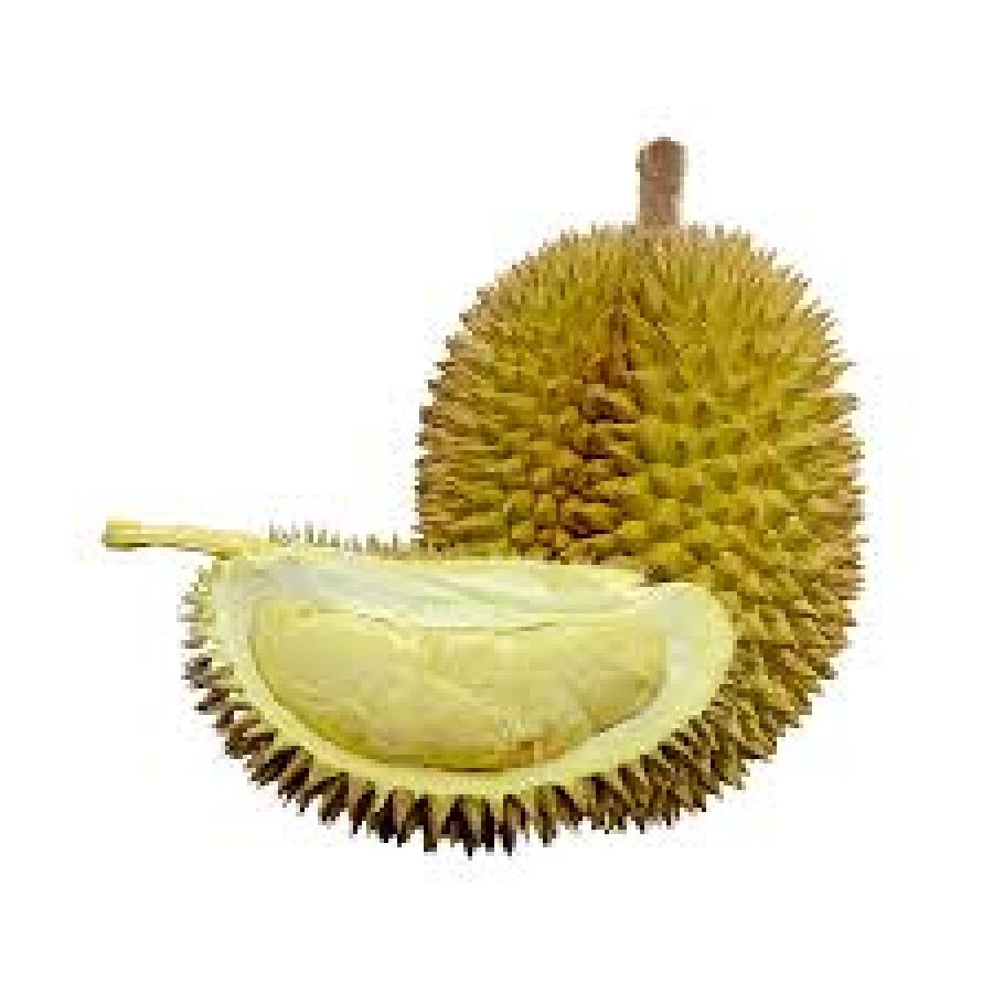 BUAH DURIAN