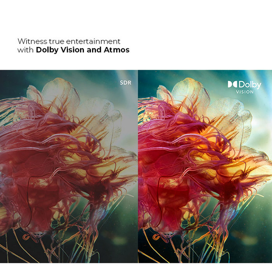 Smart Google TV 4K UHD 50 inch PLD 50UG5959