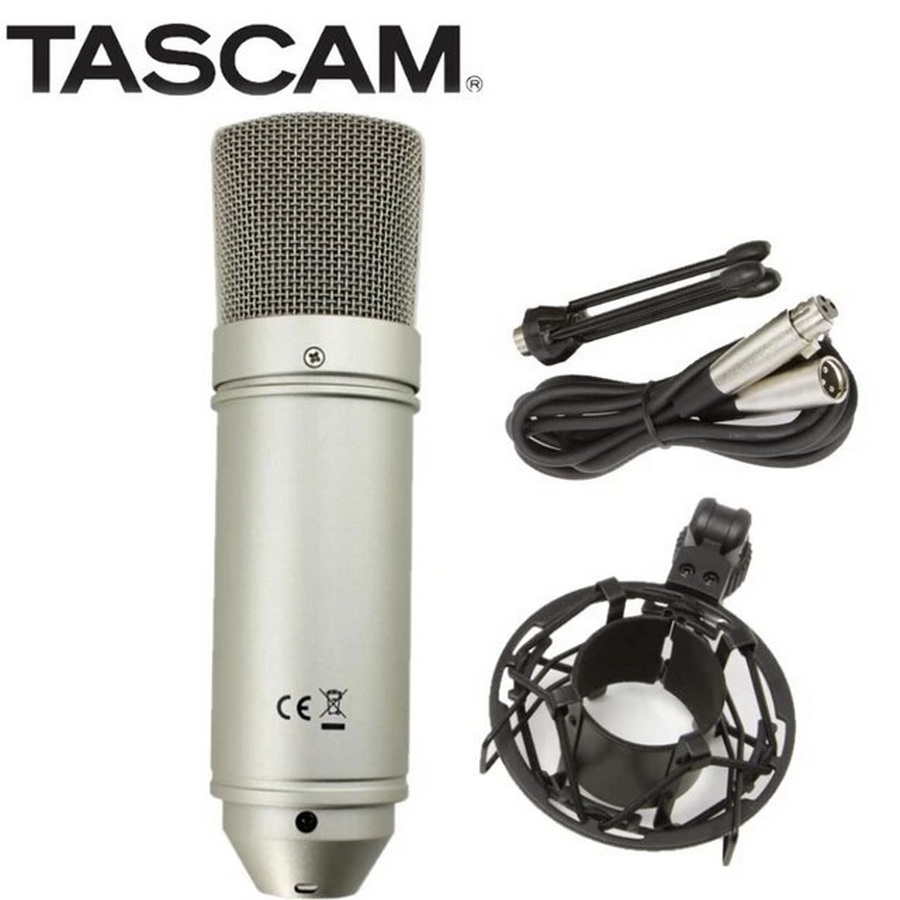 Microphone Tascam TM 80