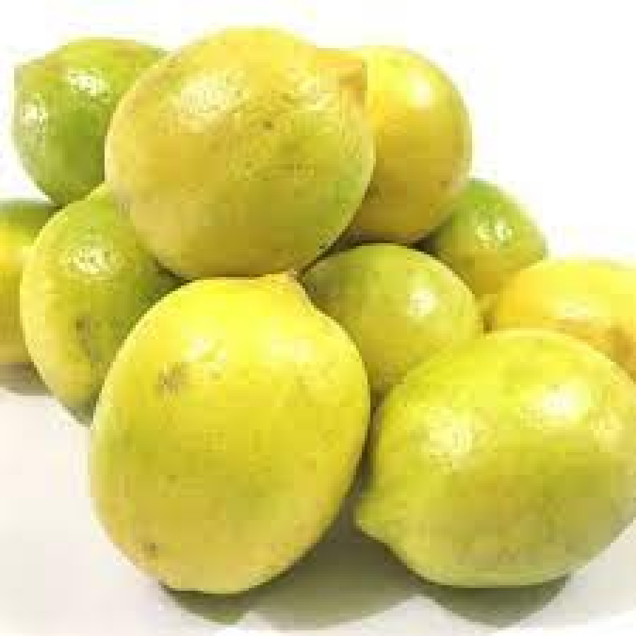 Lemon Kuning Lokal