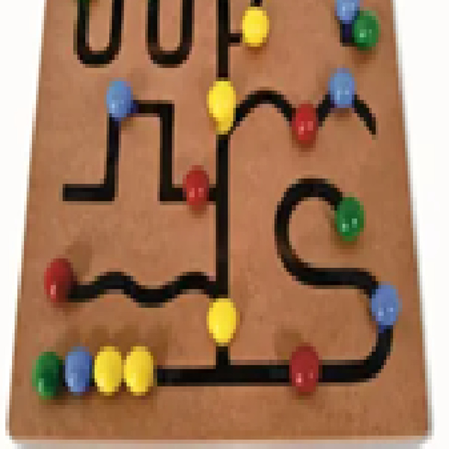 maze paud tjtoys