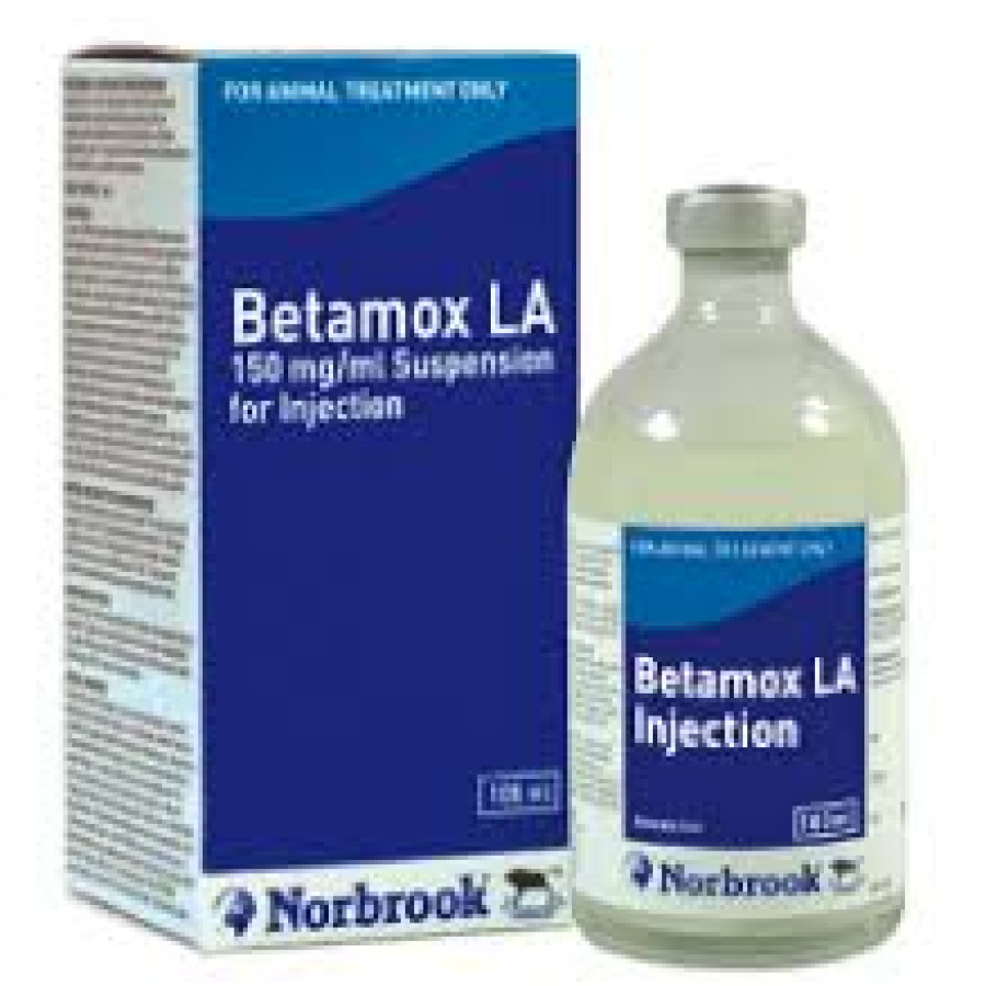 BETAMOX LA NORBROOK