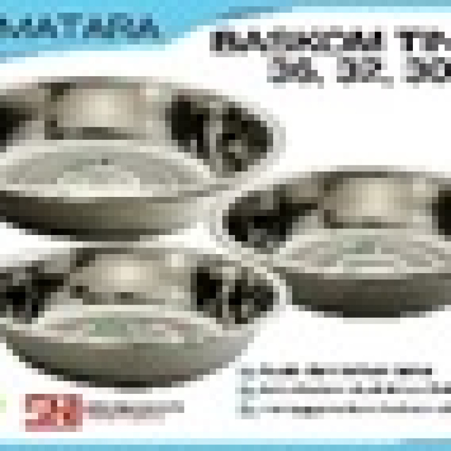 Baskom Stainless Diameter 30 Cm